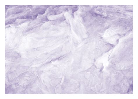 Fesem Photos Of Bismuth Tungstate Samples Prepared At Different Ph Values Download Scientific