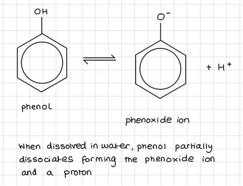 25 3 The Chemistry Of Phenol Flashcards Quizlet