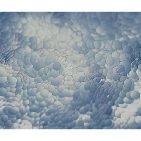 Modular Wallpaper Modular Design Wallpaper Trader Retailer From Gurgaon