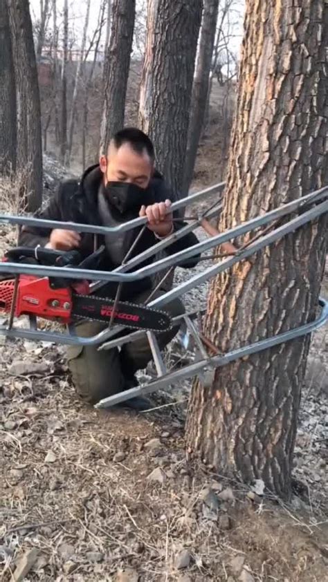 This Brilliant Low Tech Tree Climber Scrolller