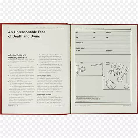 文献品牌设计png图片素材下载 图片编号5407826 Png素材网