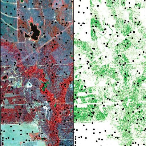 A Color Infrared Aerial Image With 1 M Spatial Resolution Acquired A Color Infrared Aerial Image With 1 M Spatial Resolution Acquired