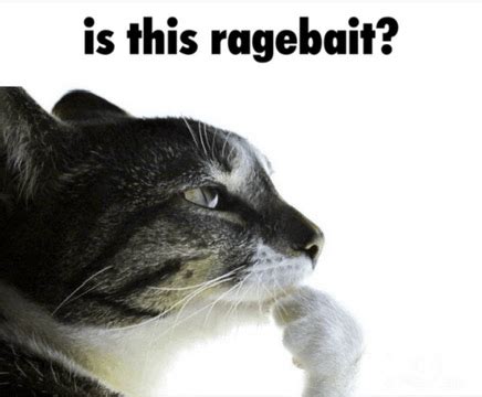 Cat Rage Bait Meme Cat Rage Bait Funny Cat Discover And Share S