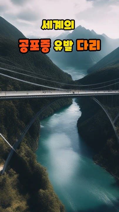 세계의 공포증 유발 다리 5곳 Youtube