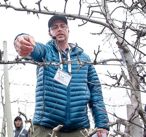 Precision Crop Load Management Based On Counting No Cameras Required — Video Good Fruit Grower