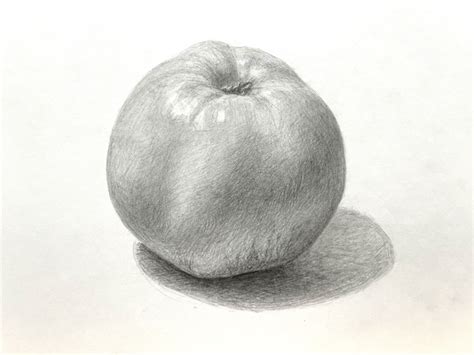 Иллюстрация Яблоко в стиле графика