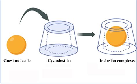 Formation Of An Inclusion Complex Between A Host Molecule And A Download Scientific Diagram