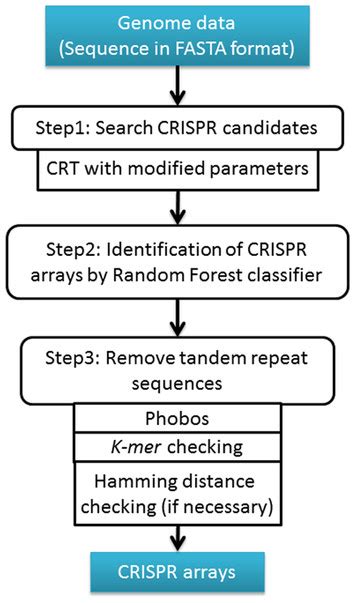 Crf Detection Of Crispr Arrays Using Random Forest Peerj