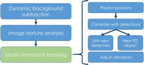 General Overview Of Our Spatio Temporal Tracking Workflow Download