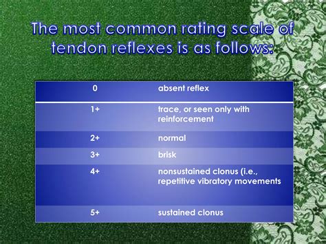 The Pulse And Deep Tendon Reflex Grading Scale Pptx