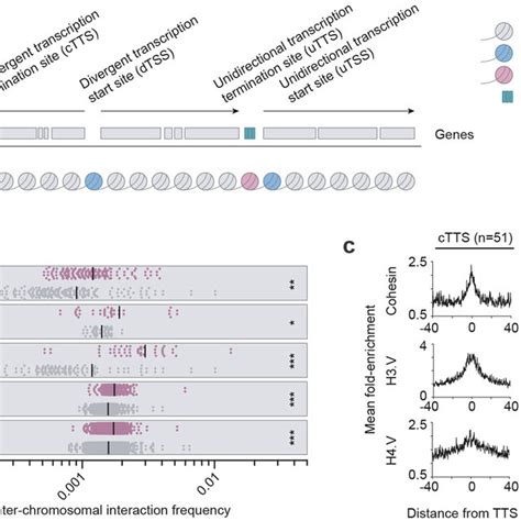 Overview Of Hi C Analysis Pipelines These Pipelines Start From Raw
