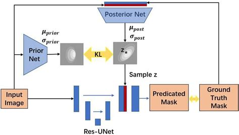 The Probabilistic U Net Sampling A And Training B Download