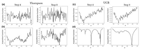 Acquisition Functions At Different Optimization Steps A B Thompson