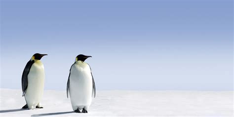 Network Traffic Control With Tc Command In Linux Softprayog