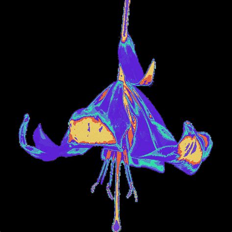 Hyperbolic The Open Access Ai Cloud