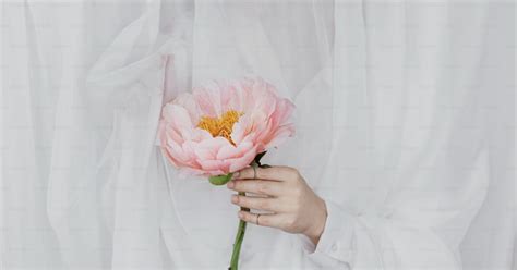 손에 분홍색 모란이 있는 부드러운 흰색 천 뒤에 있는 관능적인 아름다운 여성 젊은 세련된 여성은 부드럽게 큰 분홍색 모란 꽃을 들고 있습니다 부드러운 이미지 봄 미학