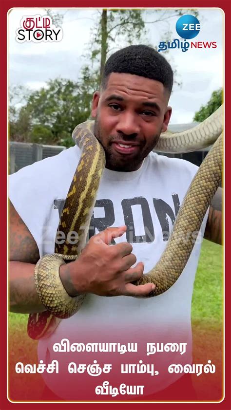 Huge Python Bites Man Viral Video விளையாடிய நபரை வெச்சி செஞ்ச பாம்பு வைரல் வீடியோ News In
