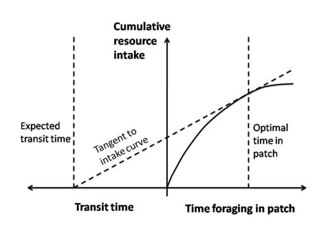 121 Optimal Foraging Theory Introduction To Evolution And Human Behavior