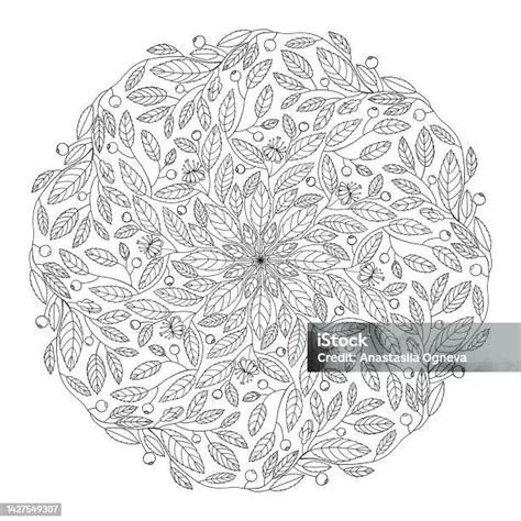 젠 탱글 만다라 손으로 그리는 잎과 열매는 흰색에 고립됩니다 0명에 대한 스톡 벡터 아트 및 기타 이미지 0명 꽃 식물 낙서 드로잉 Istock