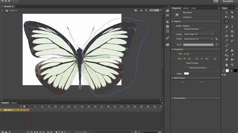 Animate Cc How To Trace Bitmaps To Create Symbols Youtube