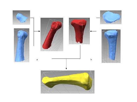 Neural Network Segmentation And Validation Nicole M Grosland