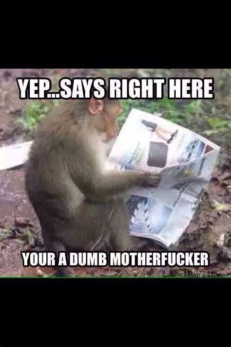 Response Meme Response Memes Big Words Funny Quotes