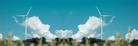 Difference Between Carbon Neutral And Net Zero WKC Group