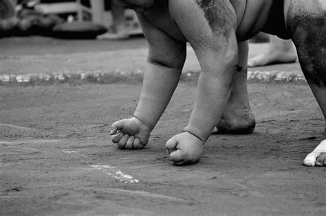 Sumo Wrestling Sport Free Photo On Pixabay Pixabay