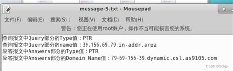Dns协议分析【头歌】双击打开桌面上的工作区文件夹 Workspace 下的实训文件夹 Myshixun 中的项目文件 Csdn博客