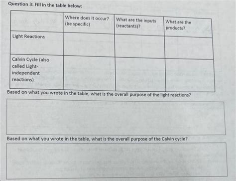 Solved Question 3 Fill In The Table Below Chegg Com