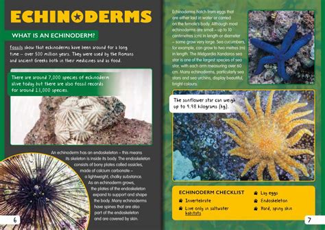 Echinoderm Animal Classification Booklife Publishing