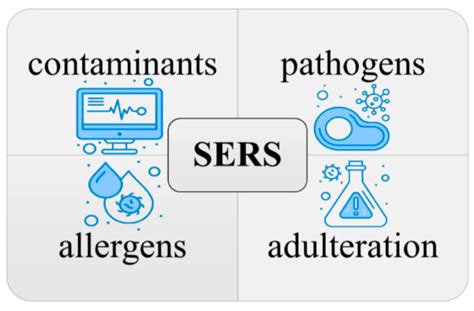 Design Fabrication And Applications Of Sers Substrates For Food Safety Detection Review