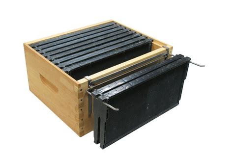One Piece Plastic Bee Frame With Foundation Beekeeping Equipments Supplies