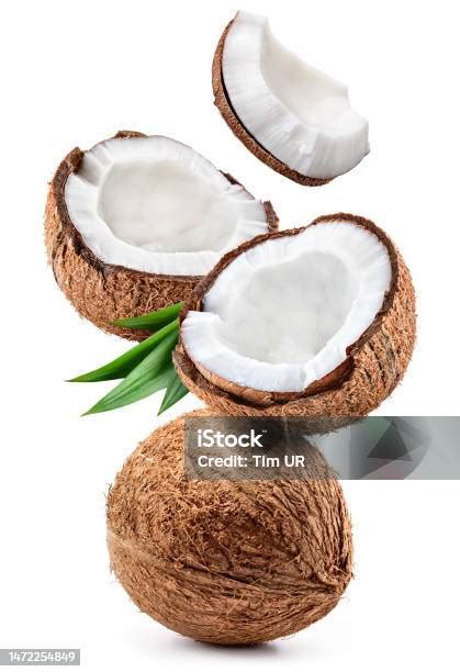 코코넛 분리 코코넛 전체 흰색 배경에 나뭇잎과 절반 및 조각 깨진 하얀 코코 비행 전체 피사계 심도 코코넛에 대한 스톡 사진 및