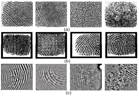 Fingerprint Systems Sensors Image Acquisition Interoperability And