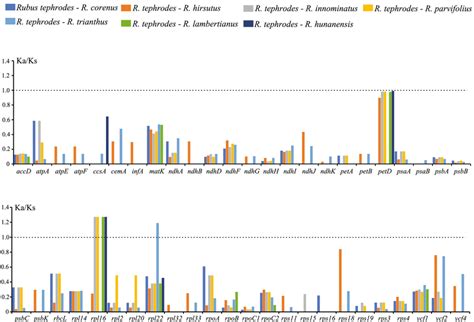Ka Ks Values Of Protein Coding Genes Of The Seven Comparative Download Scientific Diagram