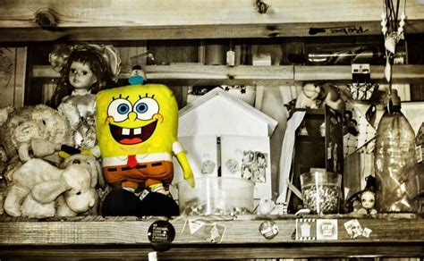 Become A Sponge Seek Out And Soak Up Information
