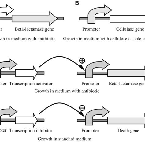 Strategies Based On The Proposed Darwinian Selection Approach Aimed At Download Scientific