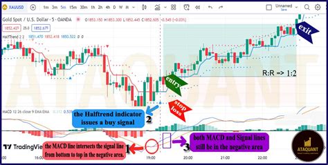 Efficient 5 Minute Scalping Strategy Utilizing The Half Trend Indicator
