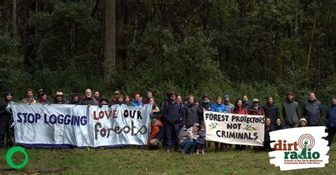 People Power Ends Native Forest Logging In Victoria CR Community Radio