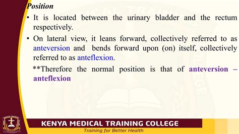 Female Reproductive System Int And Ext Genitalia Pdf Free Download