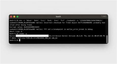 Root Access Sudo Bug Found To Affect Macos Big Sur