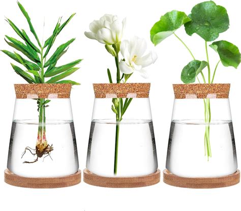 5 7 Inch Small Medium Large Plants Propagation Station