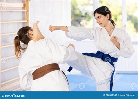 Karate Practitioners Showcase Their Techniques Stock Image Image Of