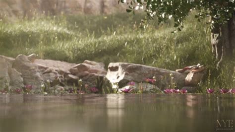 Baldur S Gate Baldur S Gate 3 Dungeons And Dragons Wizards Of The Coast Githyanki Rule 34 XYZ