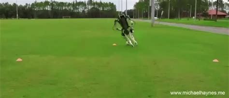 michael haynes on linkedin opentowork engineering programming technology av avtweeps…