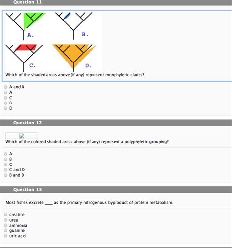 Solved Phenetic Systems Of Classification Are Based Upon