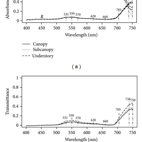 Spectra For Each Group Canopy Subcanopy And Understory Averaged