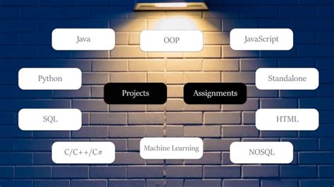 Do Your Programming Assignments And Projects By Pyrecyter Fiverr
