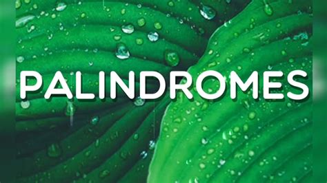 Palindromes Level 257 Word Crush Answers 4k Youtube
